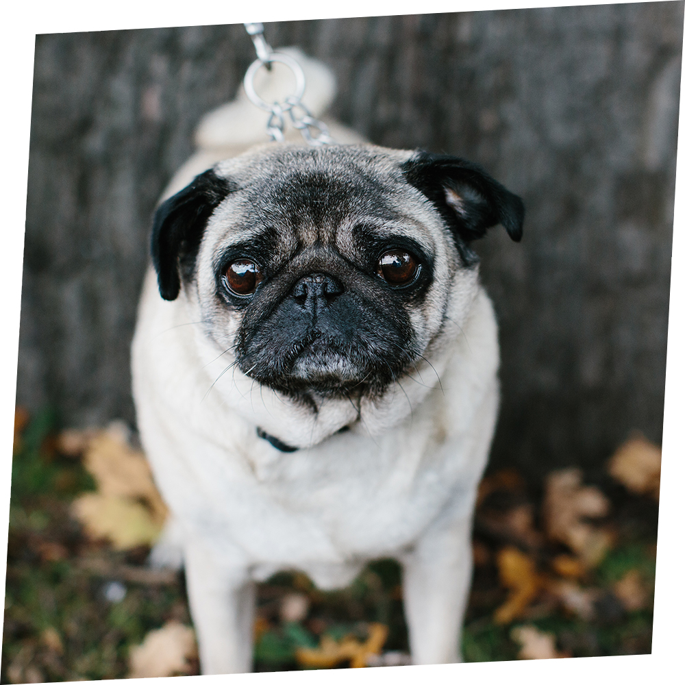 Meet the Team - One Connectivity